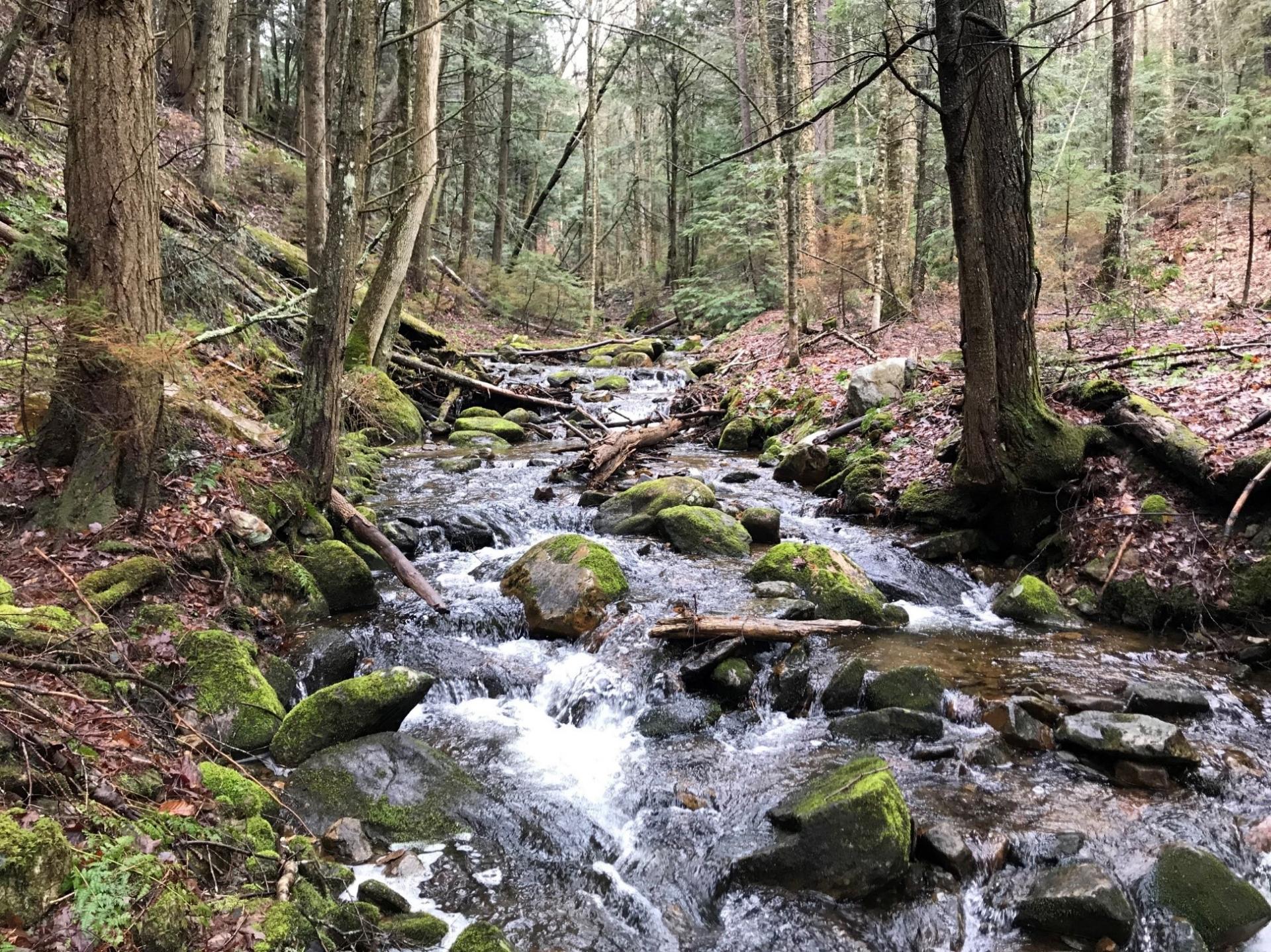 Stewardship Plan for the Wild and Scenic Westfield River | CEI