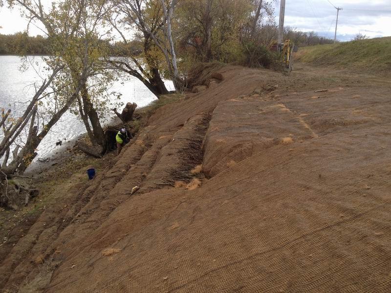 Vegetated River Bank Stabilization, Nature Based Solution | CEI